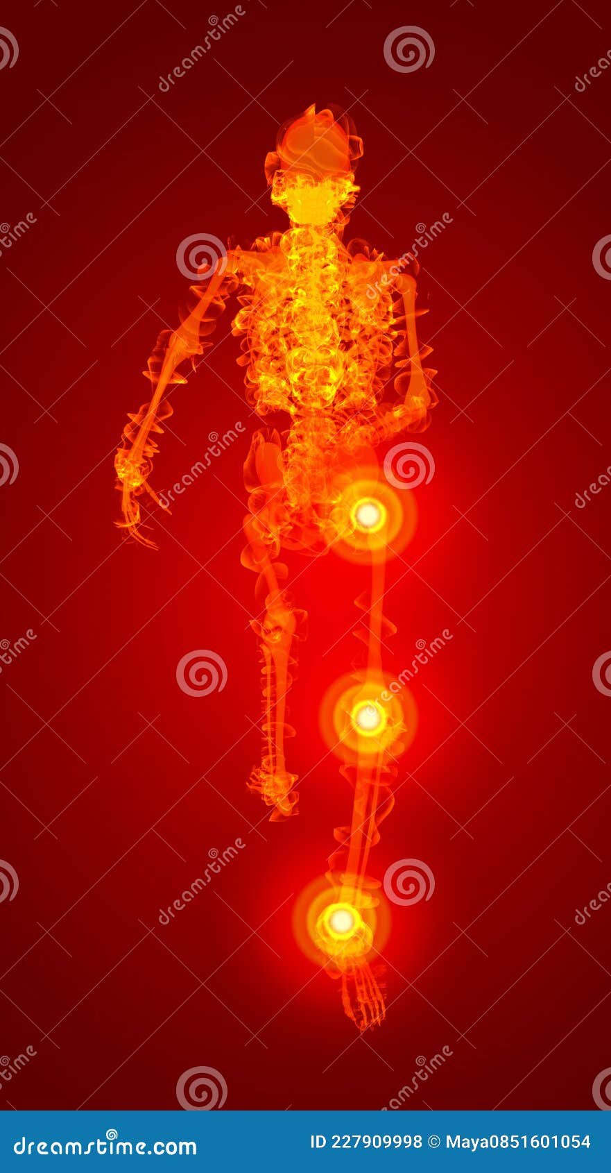 3D Rendering Illustration of Skeleton Bone Stock Illustration ...