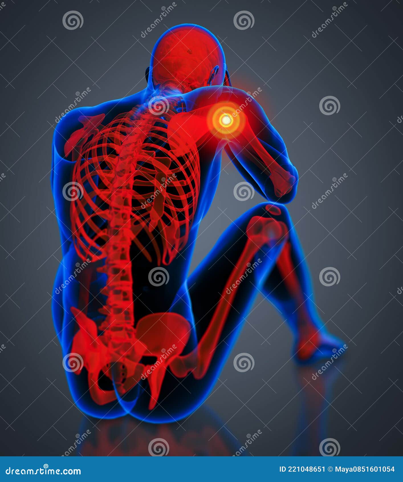 3d Illustration Of Skeleton Feet Bone Anatomy Stock Photo ...