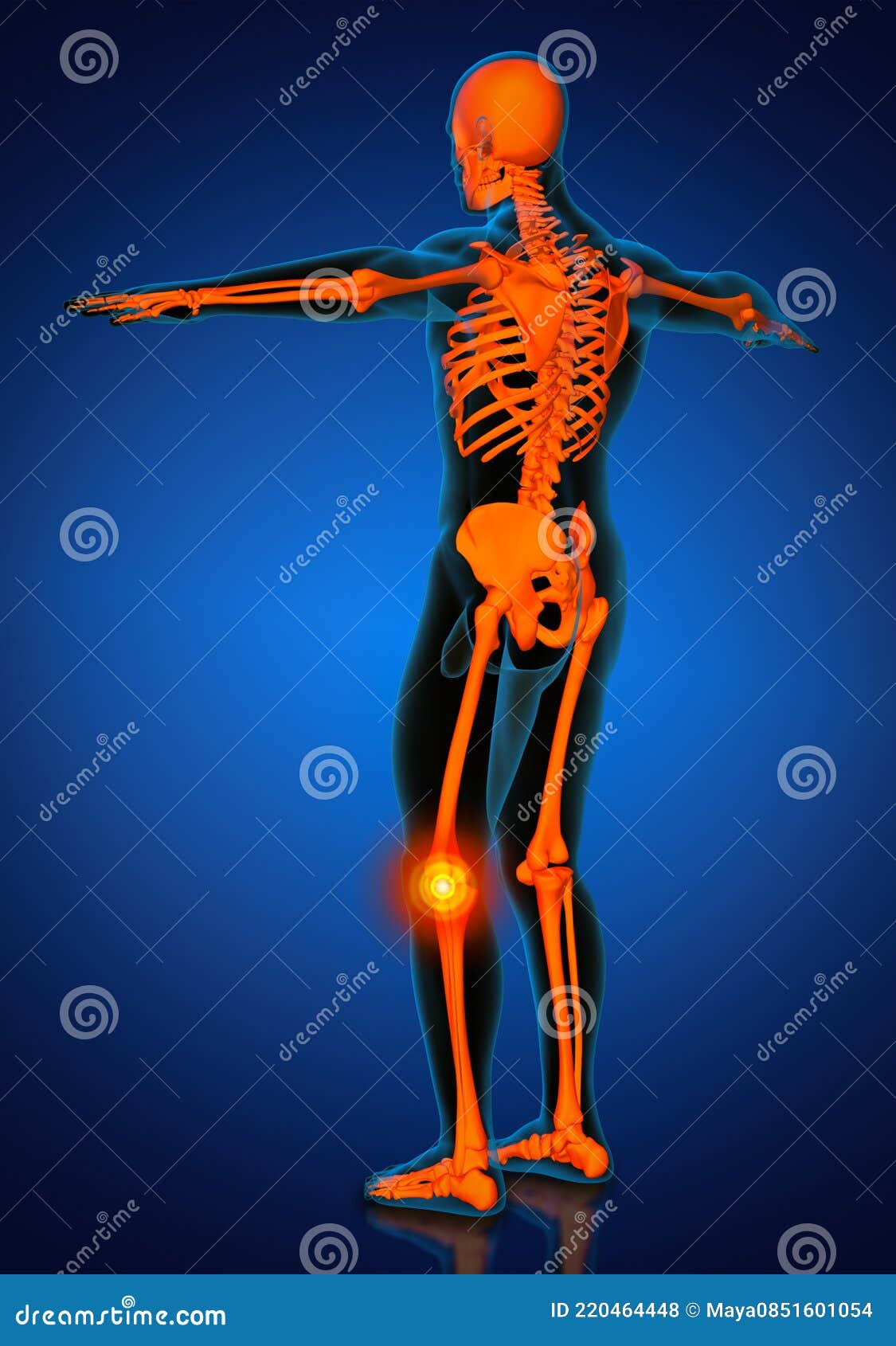 3D Rendering Illustration of Skeleton Stock Illustration - Illustration ...