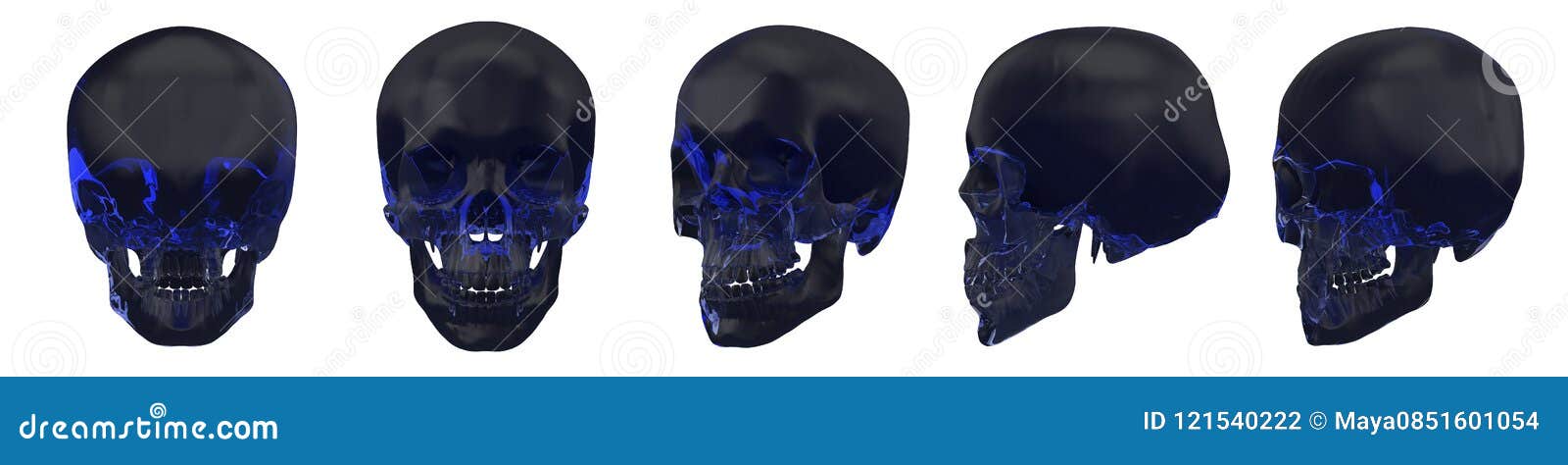3d Rendering Illustration of Skull Stock Illustration - Illustration of ...