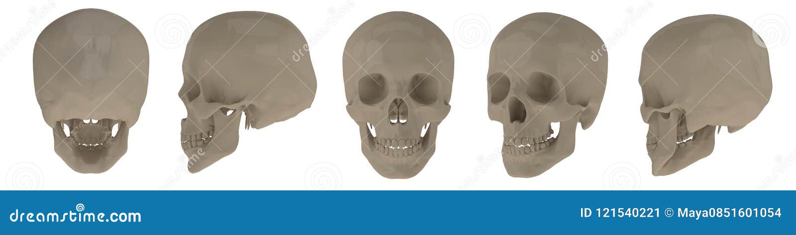 3d rendering of skull stock illustration. Illustration of crystal ...