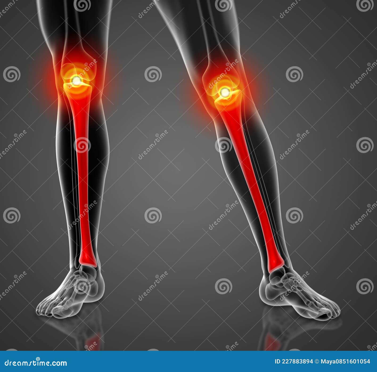 3D Rendering Illustration of Tibia Bone Stock Illustration ...
