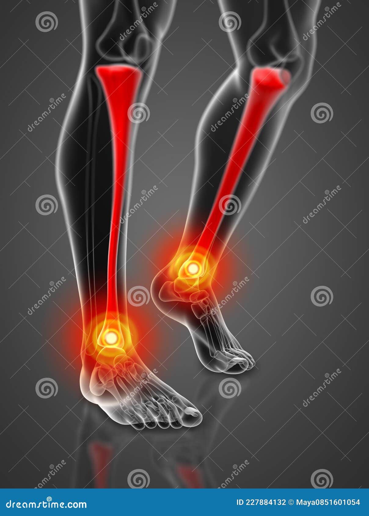 3D Rendering Illustration of Tibia Bone Stock Illustration ...