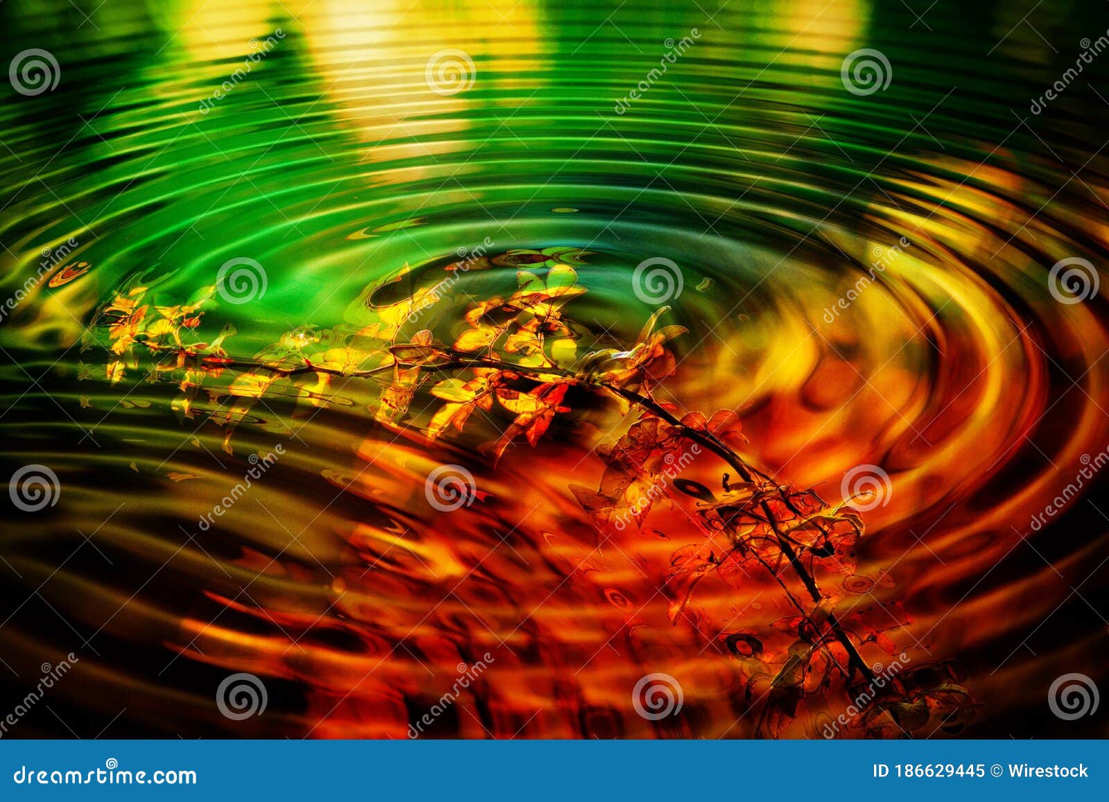 3D Rendering Illustration of a Water Puddle with the Reflection of Dry ...