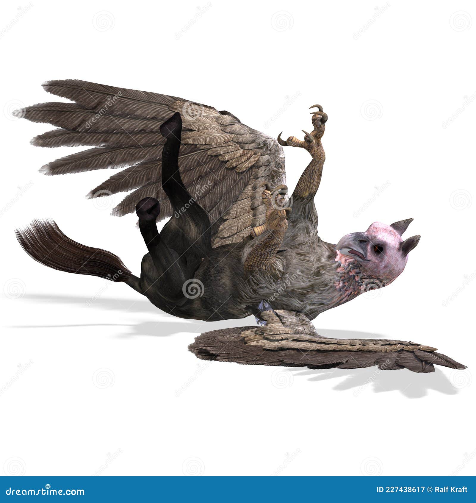 3d-illustration of an Isolated Griffin Fantasy Creature Stock ...