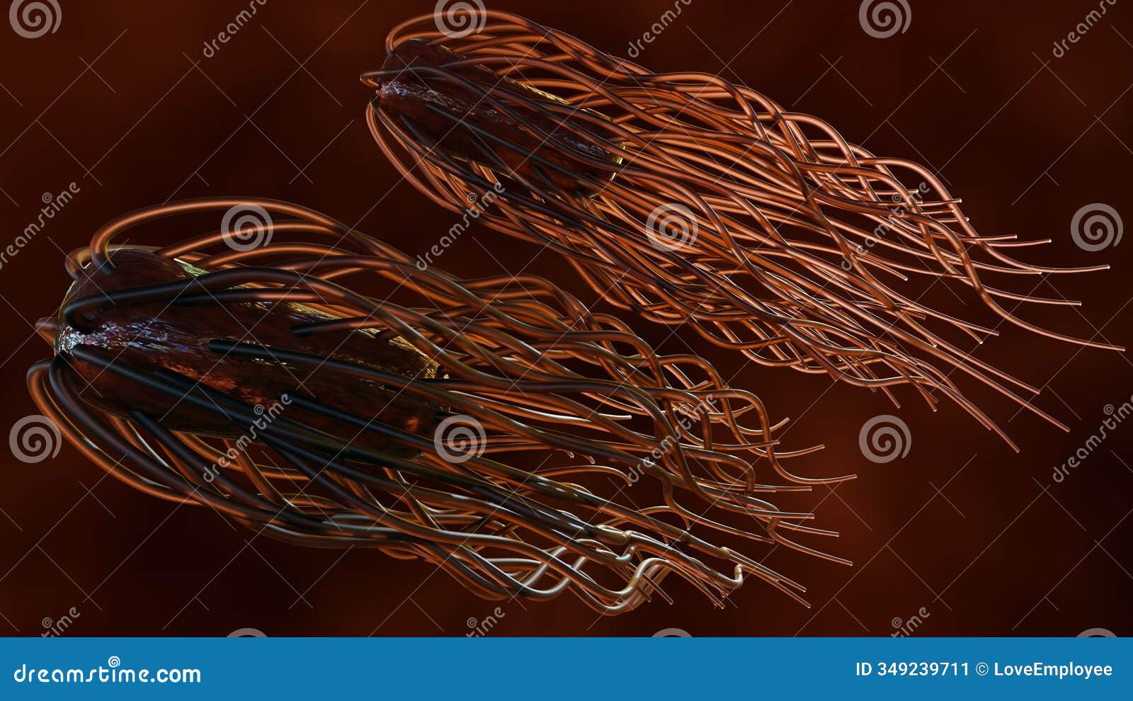 3D Rendering of Isolated Proteus Mirabilis Bacterial Cells Stock ...