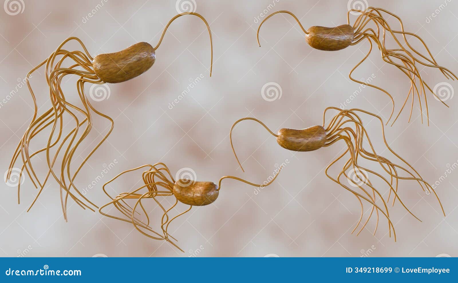 3d Rendering of Isolated Pseudomonas Fluorescens Bacteria Cell Stock ...