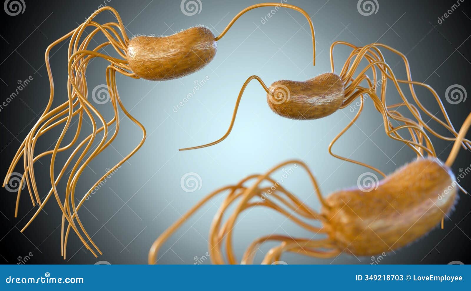 3d Rendering of Isolated Pseudomonas Fluorescens Bacteria Cell Stock ...