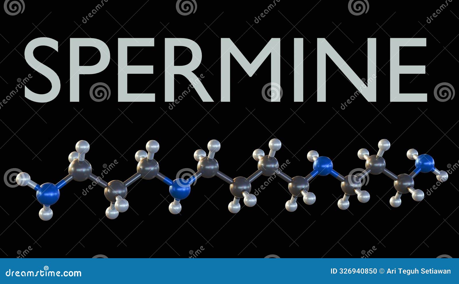 Spermine Molecular Structure, 3d Model Molecule, C10h26n4, Structural ...