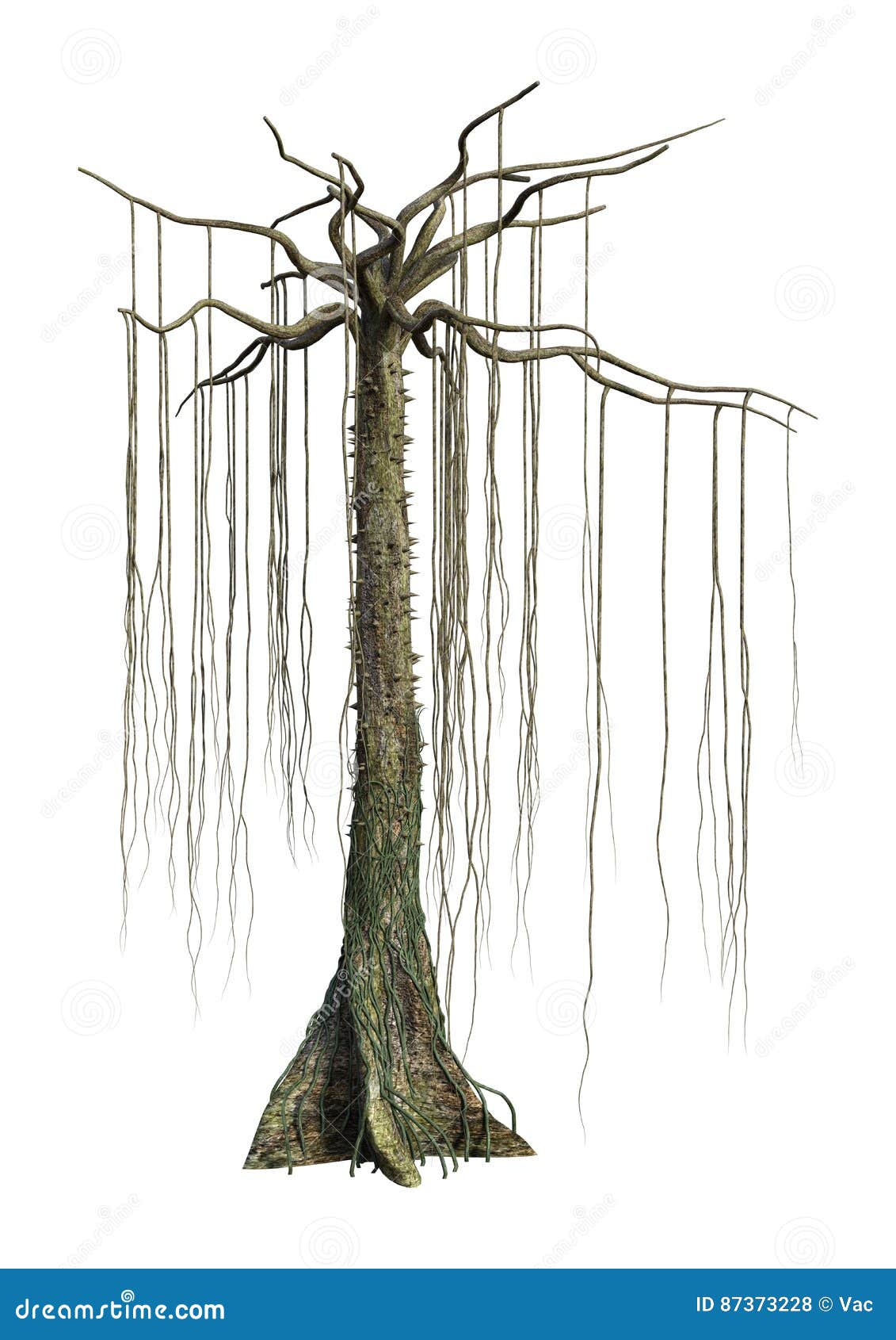 Kapok On Tree Royalty-Free Stock Image | CartoonDealer.com #56136874