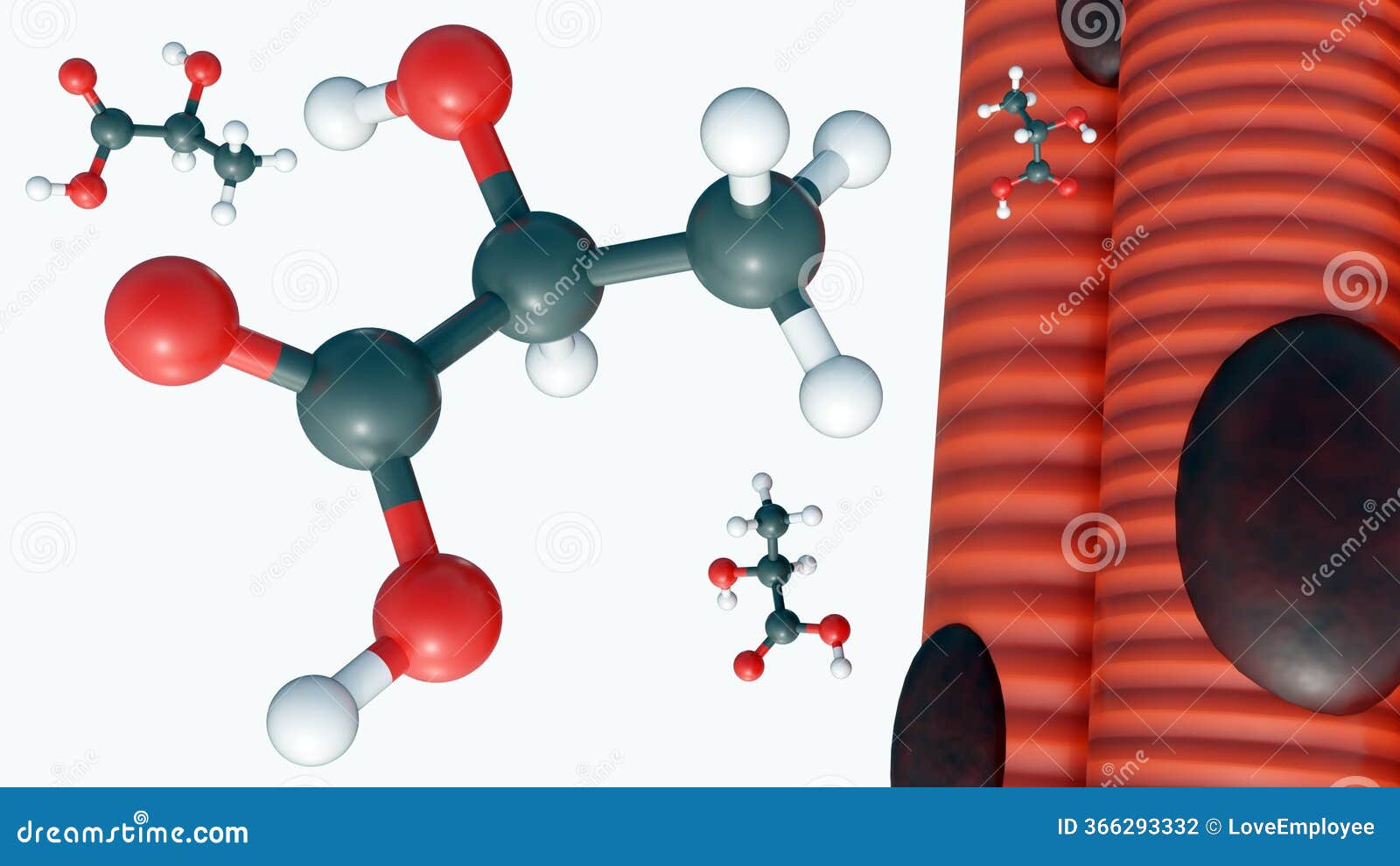 Lactic Acid Molecule, Structural Chemical Formula, Ball-and-stick Model ...