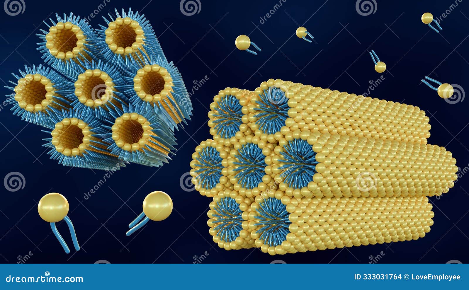 A 3D Rendering of a Lamellar Phase and an Inverse Hexagonal Phase Stock ...