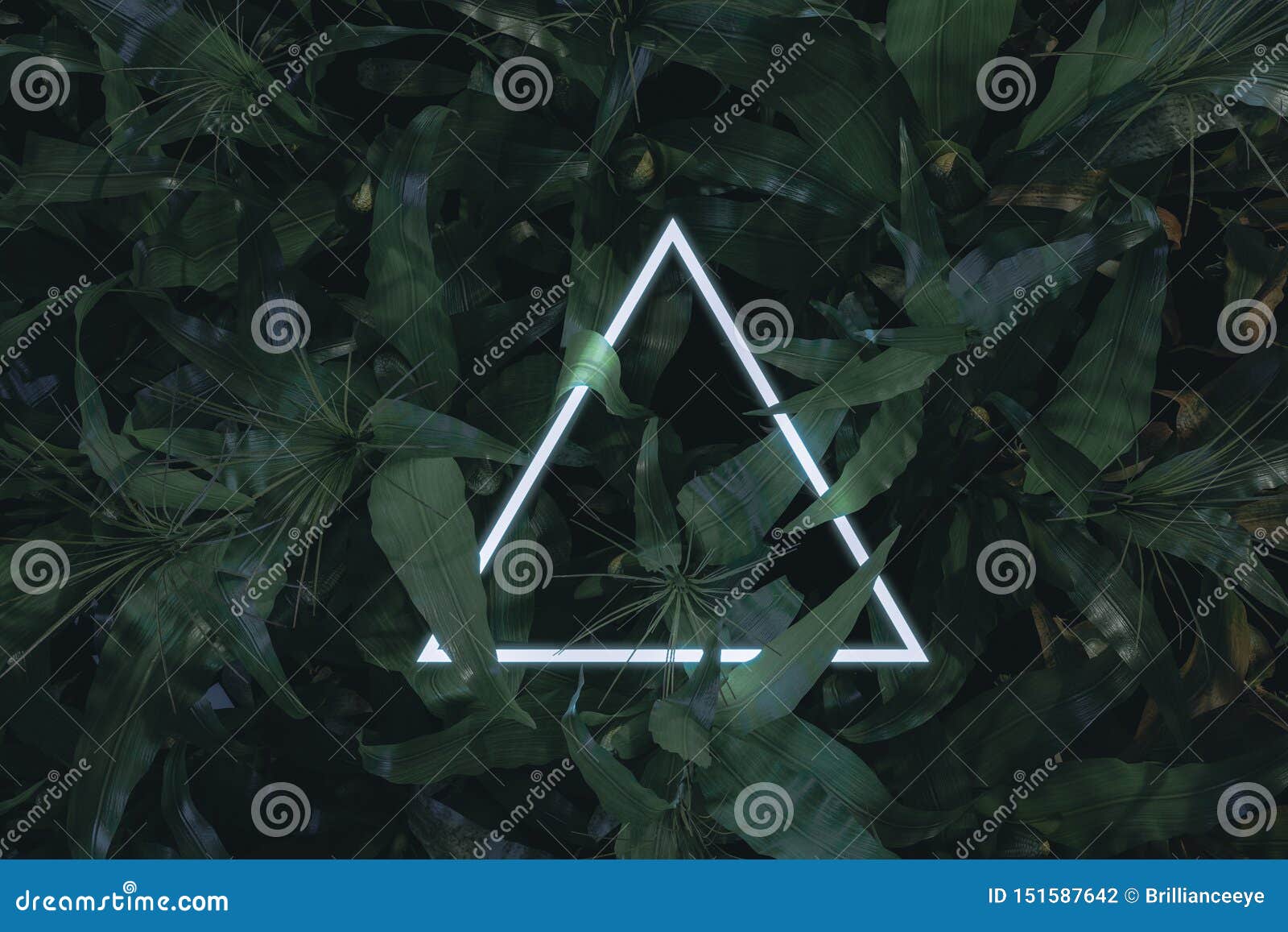 3d Rendering of Lighten Neon Triangle with Corn Plants. Flat Lay of ...