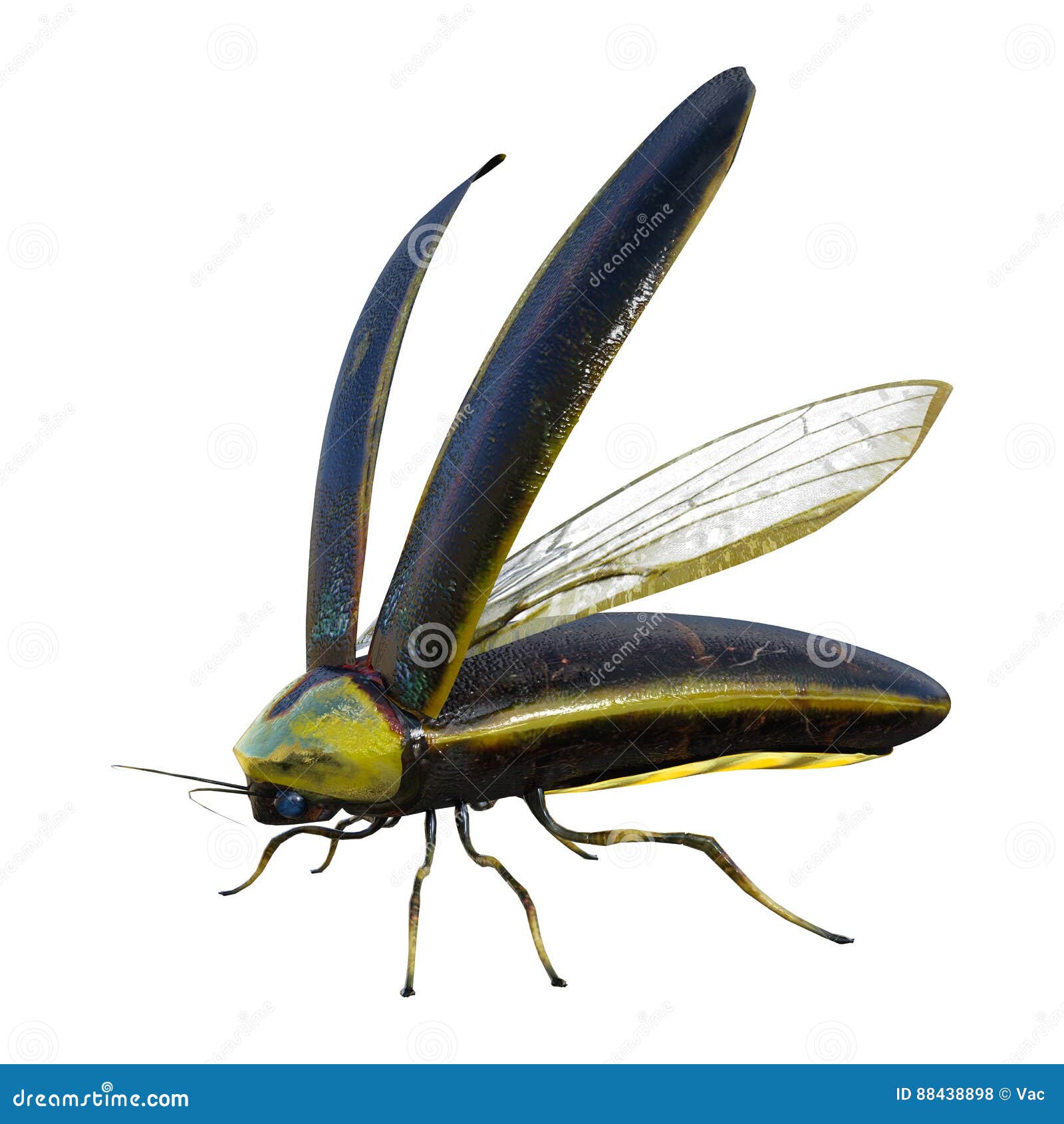 3D Rendering Lightning Bug on White Stock Illustration - Illustration ...