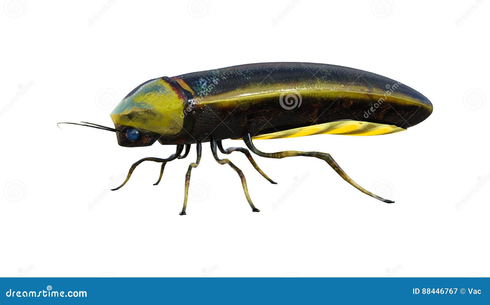 3D Rendering Lightning Bug on White Stock Illustration - Illustration ...