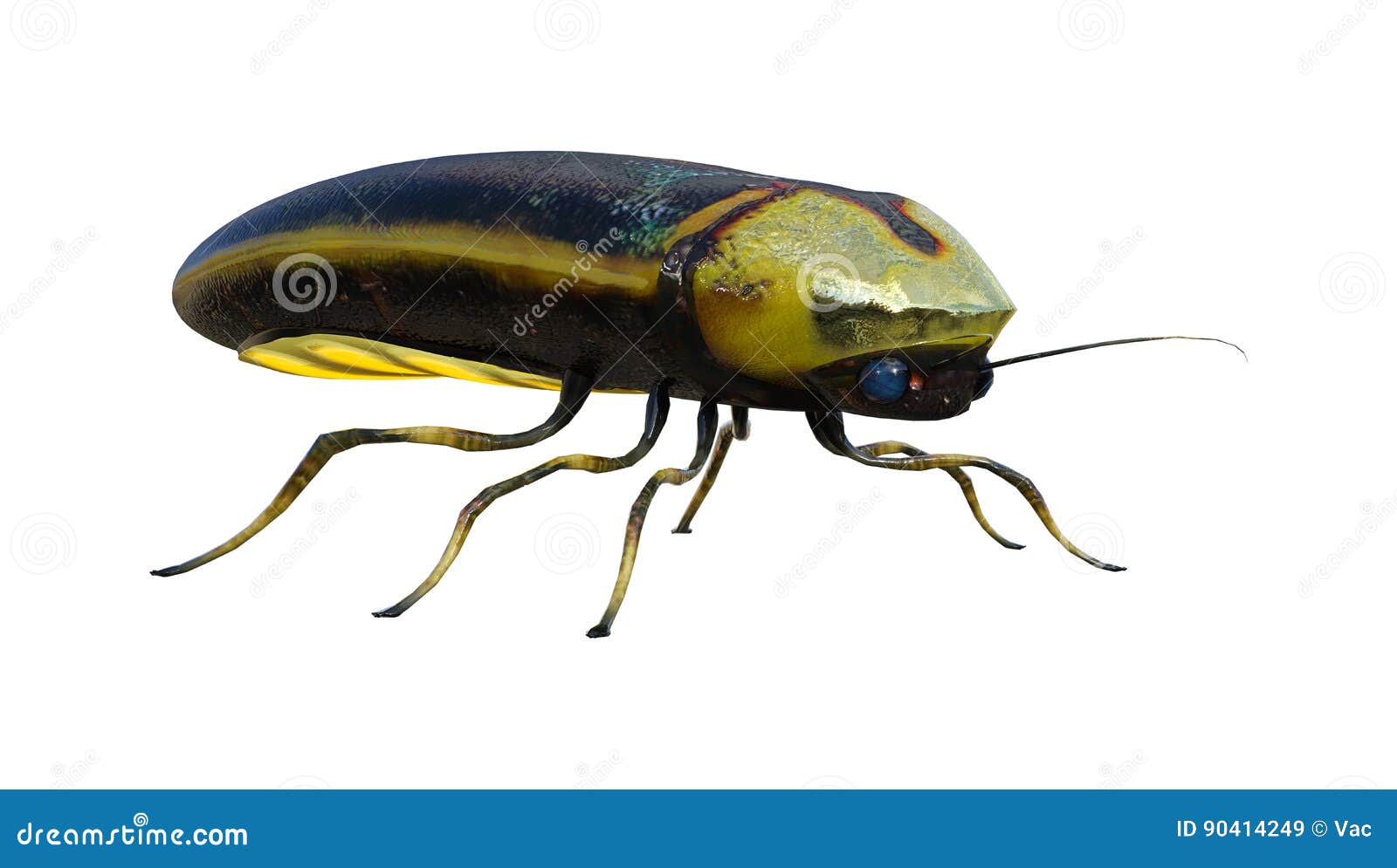 3D Rendering Lightning Bug on White Stock Illustration - Illustration ...
