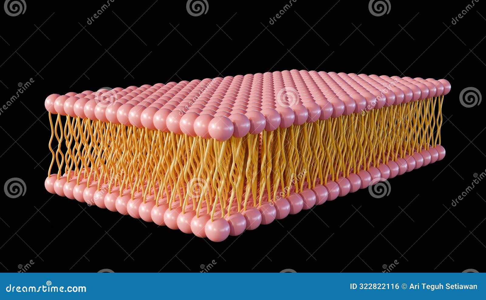 3d Rendering of Lipid Monolayer on Archaea Membrane Stock Illustration ...