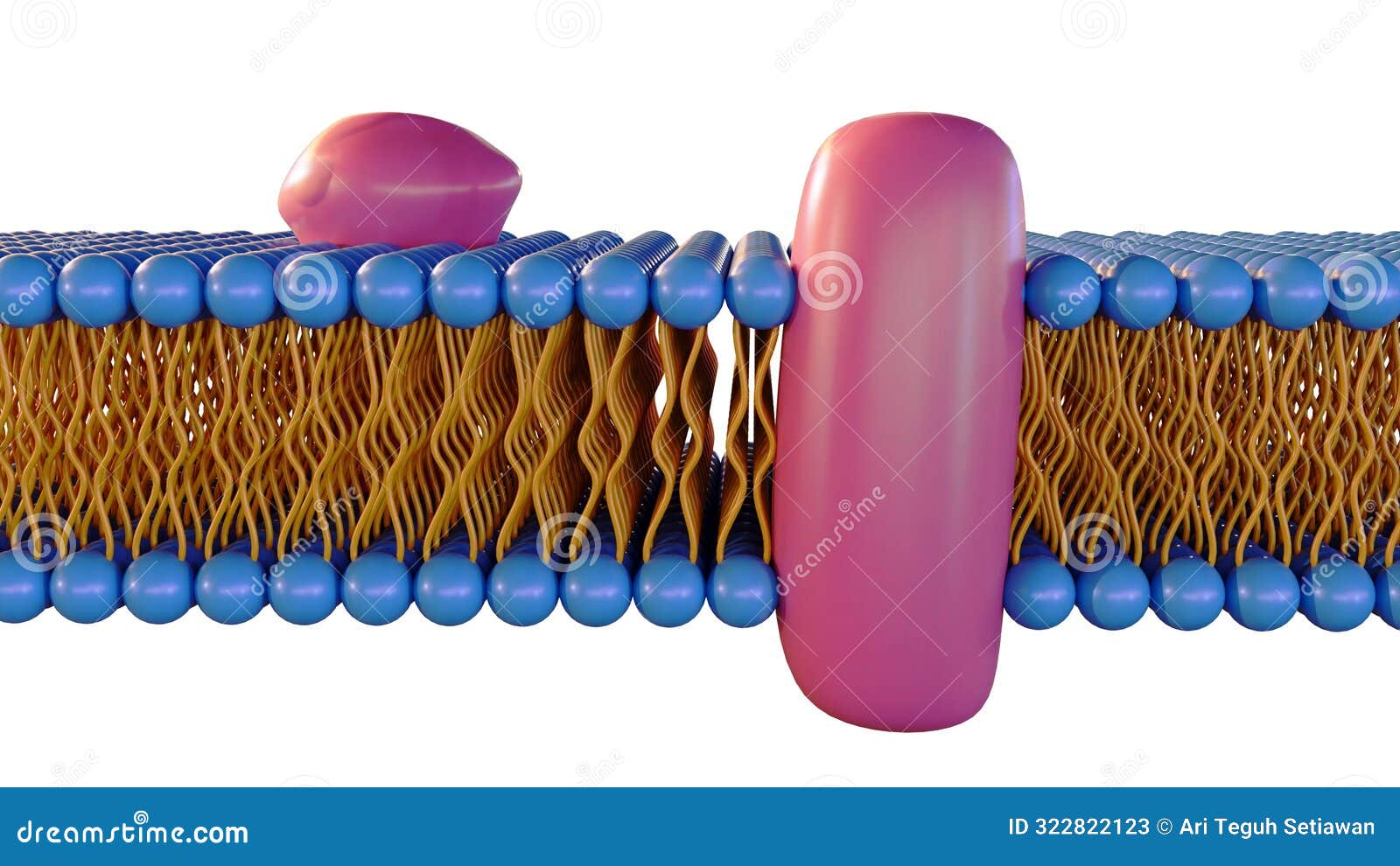 3d Rendering of Lipid Monolayer on Archaea Membrane Stock Illustration ...