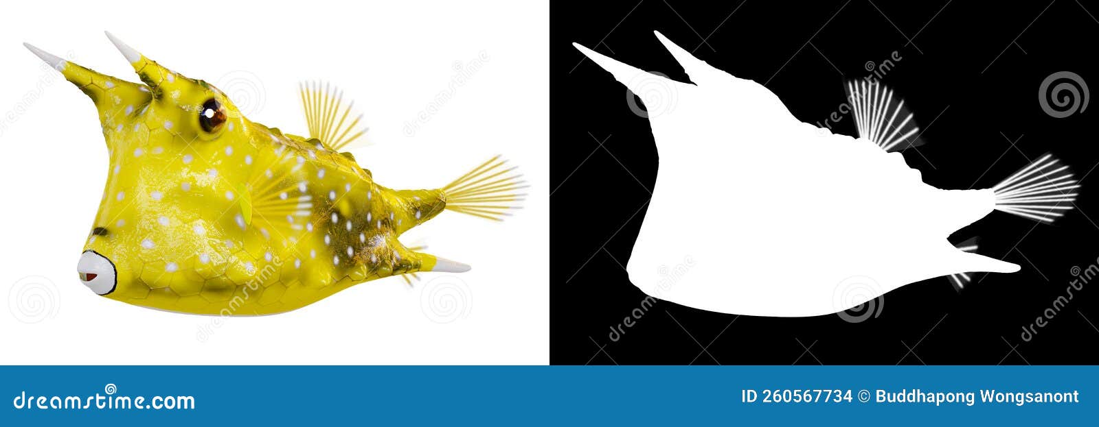 Cowfish Cartoons, Illustrations & Vector Stock Images - 85 Pictures to ...