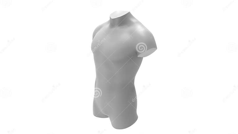 3d Rendering of a Male Torso Isolated in White Background Stock ...