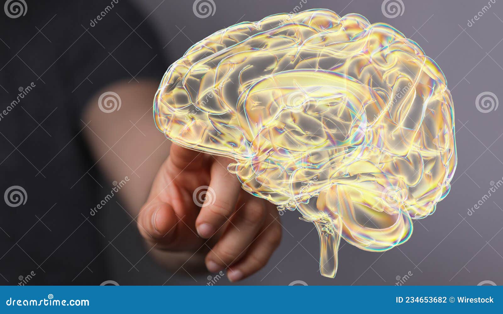 3D Rendering of a Man Pointing at a Human Brain Anatomical Model Stock ...