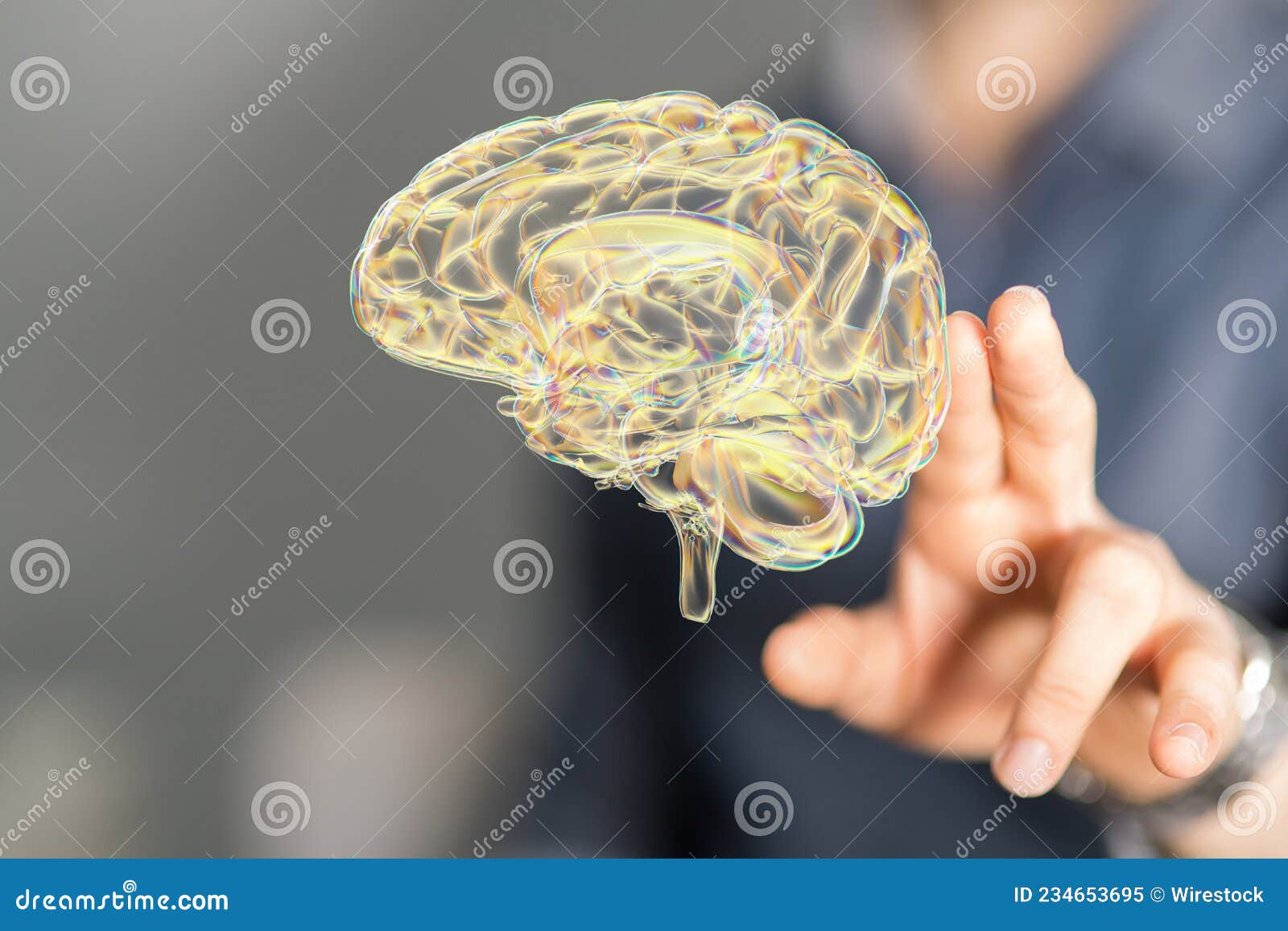 3D Rendering of a Man Pointing at a Human Brain Anatomical Model Stock ...