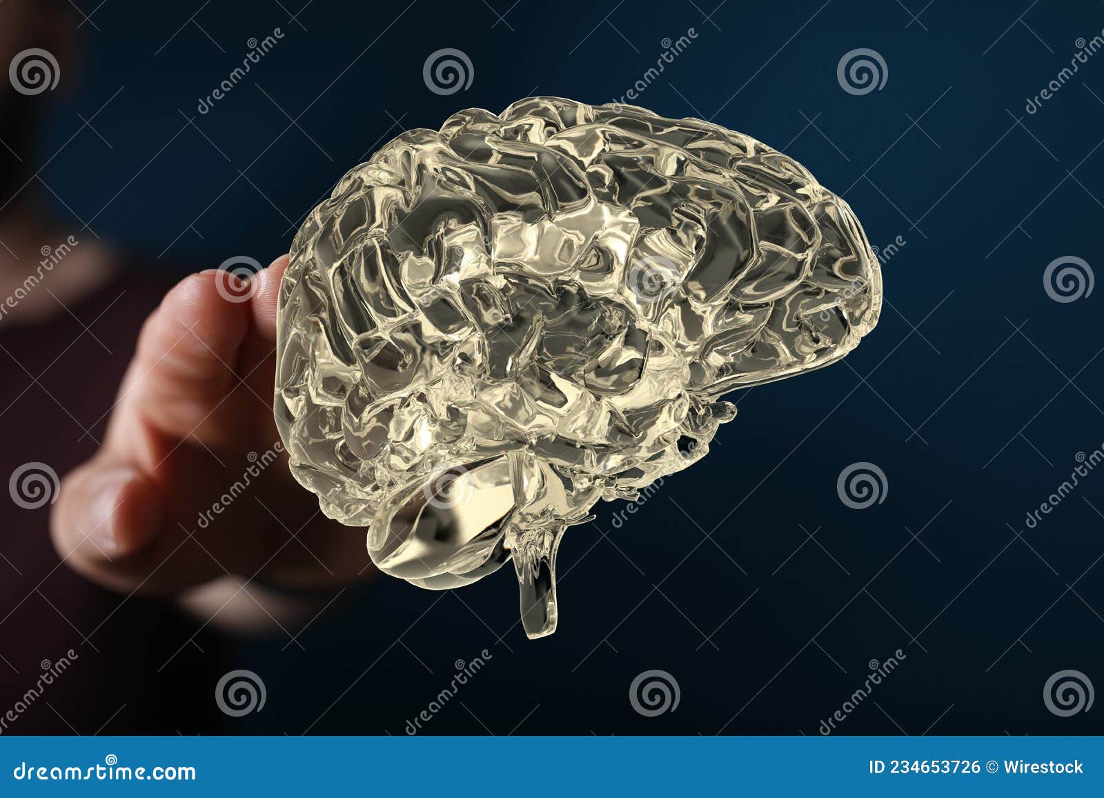 3D Rendering Of A Man Pointing At A Human Brain Anatomical Model Stock ...