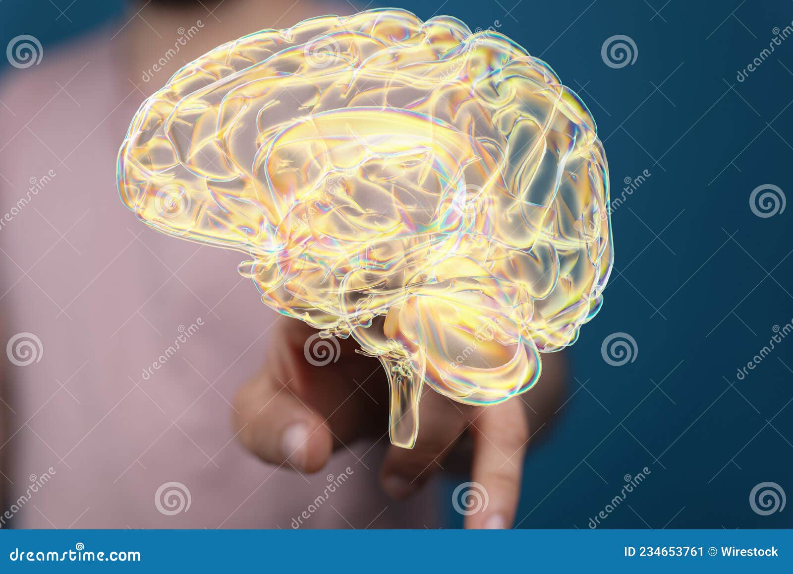 3D Rendering of a Man Pointing at a Human Brain Anatomical Model Stock ...
