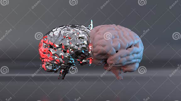 3d Rendering of a Metallic Geometric Brain Merging with a Smooth Human ...