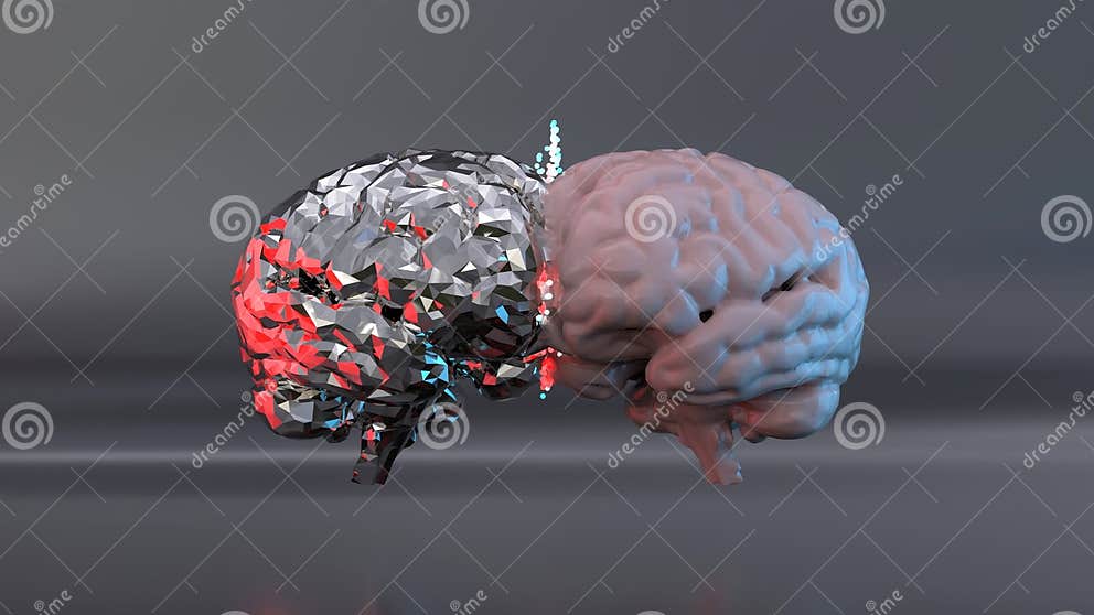3d Rendering of a Metallic Geometric Brain Merging with a Smooth Human ...