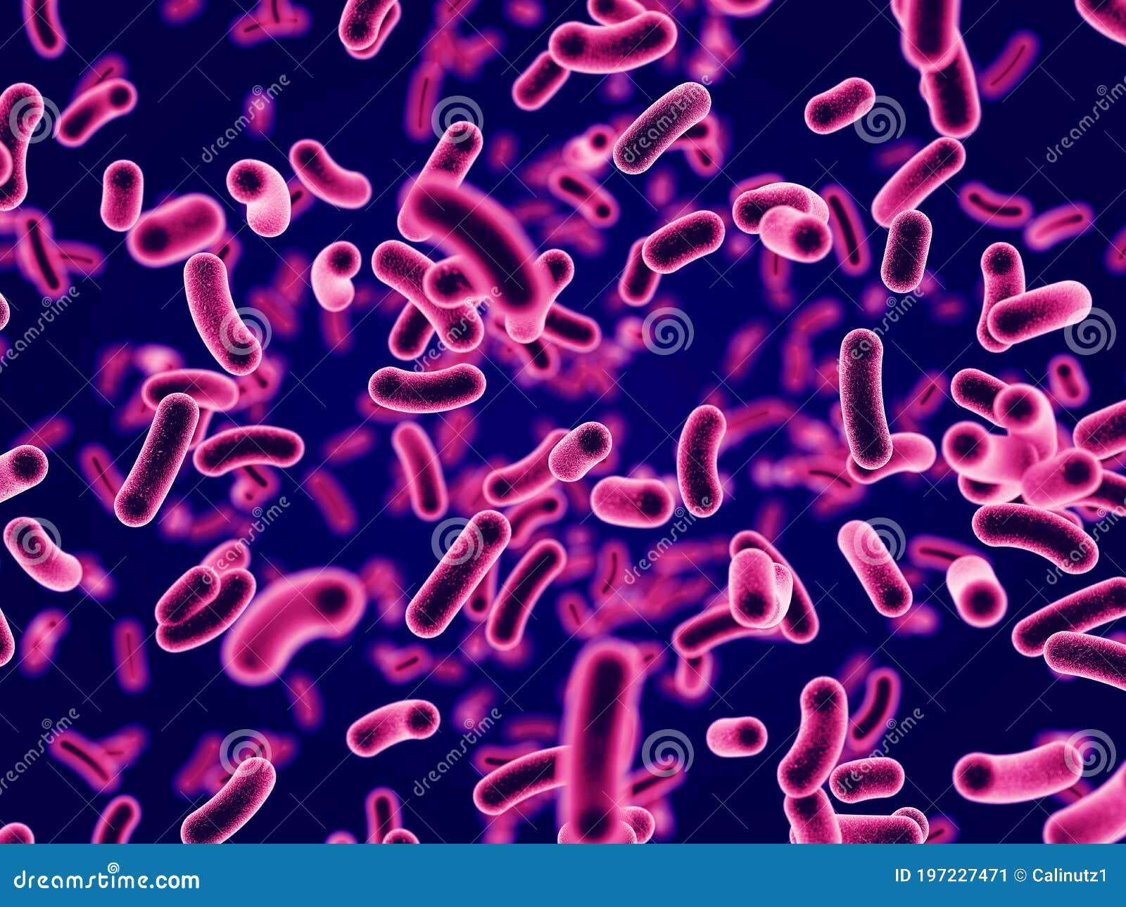 3D Rendering Of Microscopic View Of Multiplying Bacteria ...
