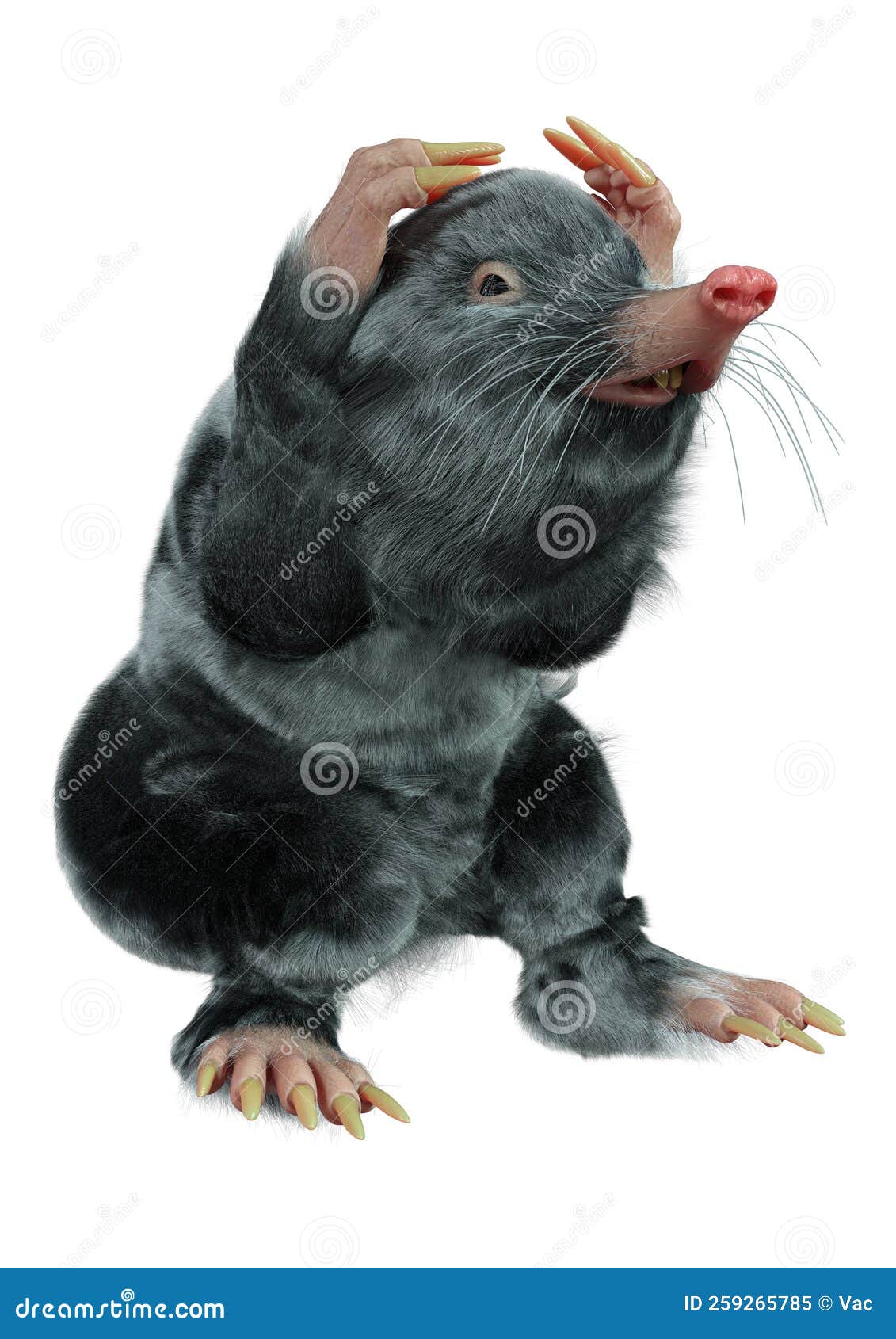 Mole On White Background. Black Silhouette In A Red Circle. Symbol Of ...