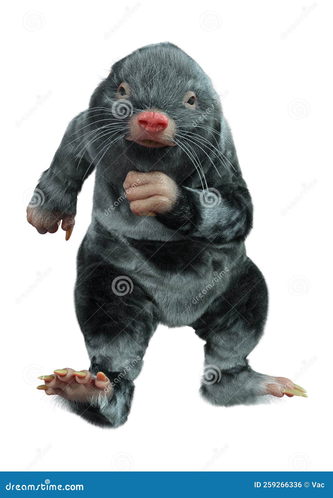 3D Rendering Mole Animal on White Stock Illustration - Illustration of ...