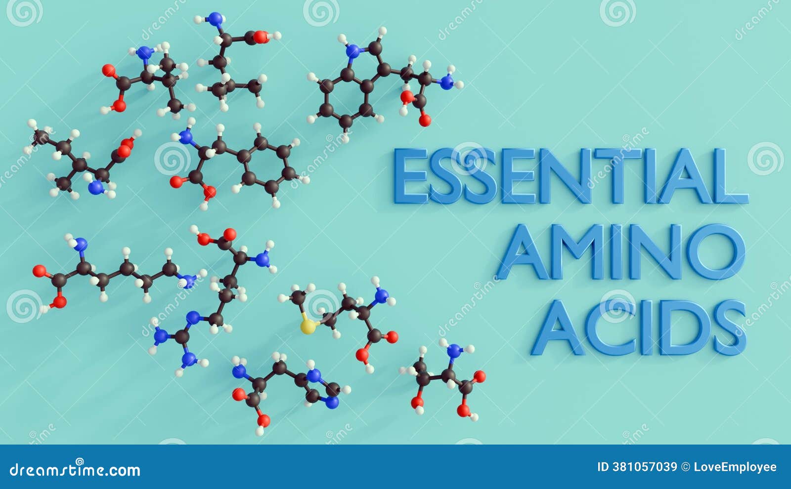 Essential Amino Acids. A Set Of Amino Acids. Chemical Molecular ...