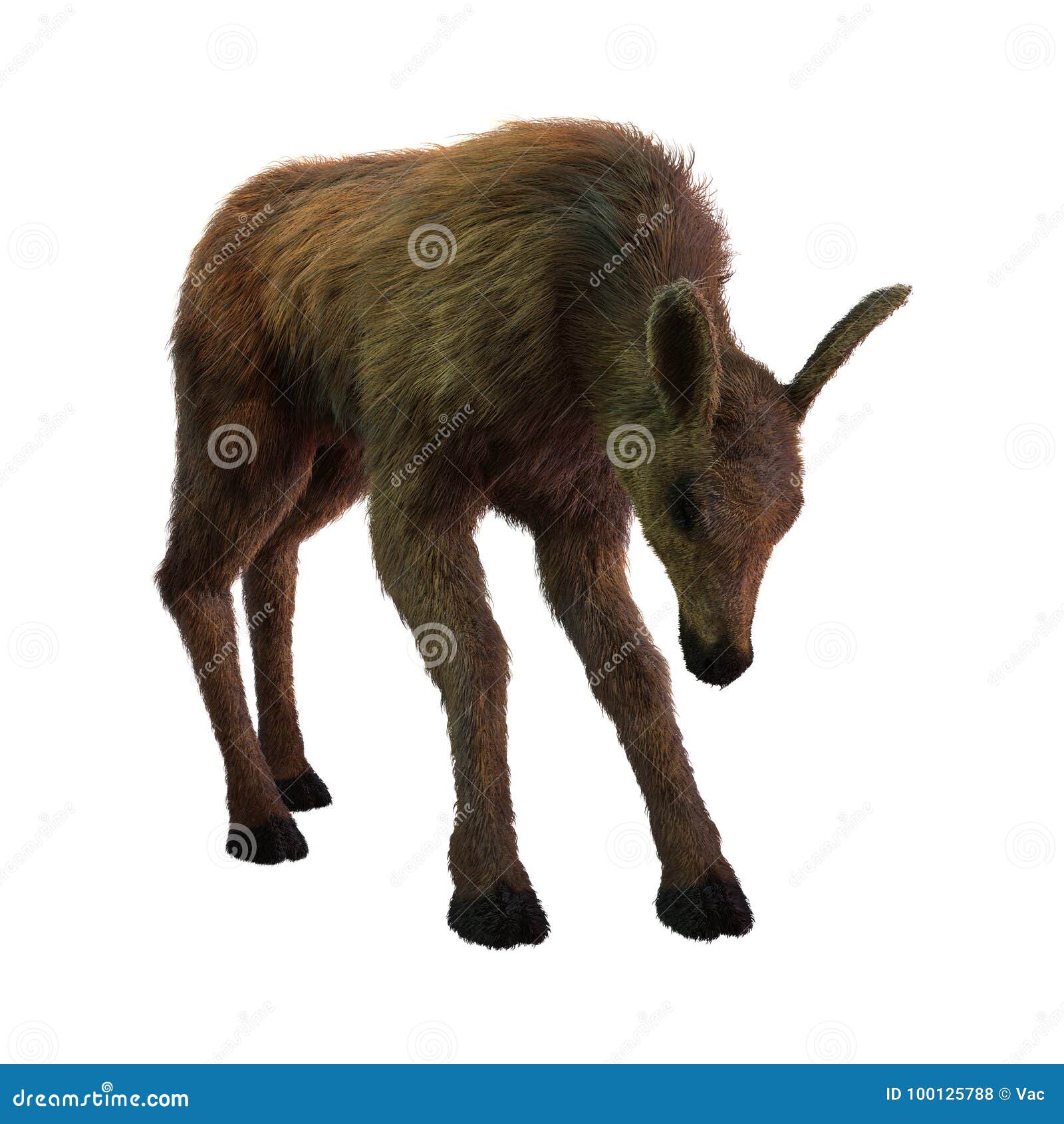 Moose, Moose Cow Calf - Mountain Landscape, Wildlife Stencils ...