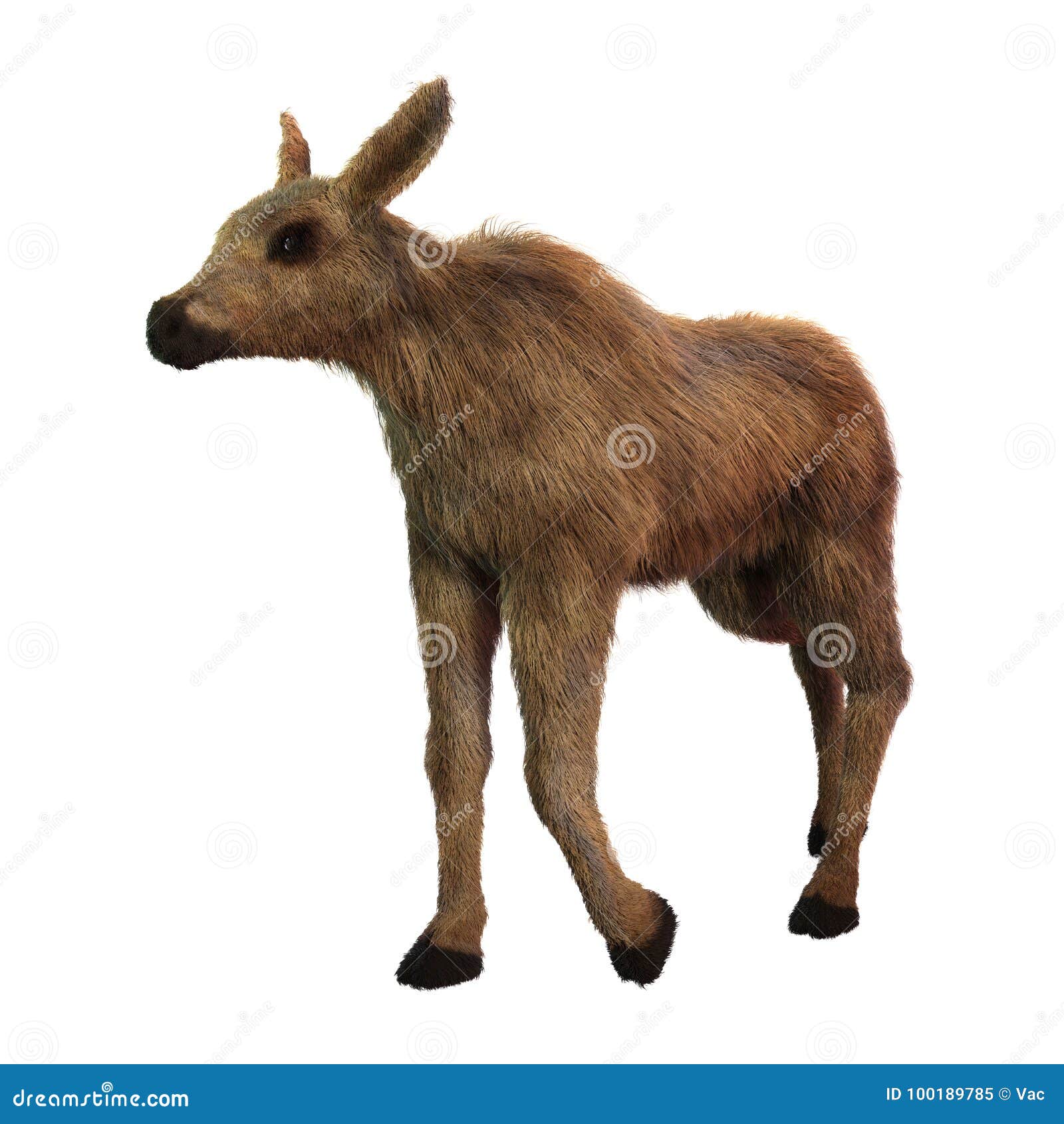 Moose, Moose Cow Calf - Mountain Landscape, Wildlife Stencils ...