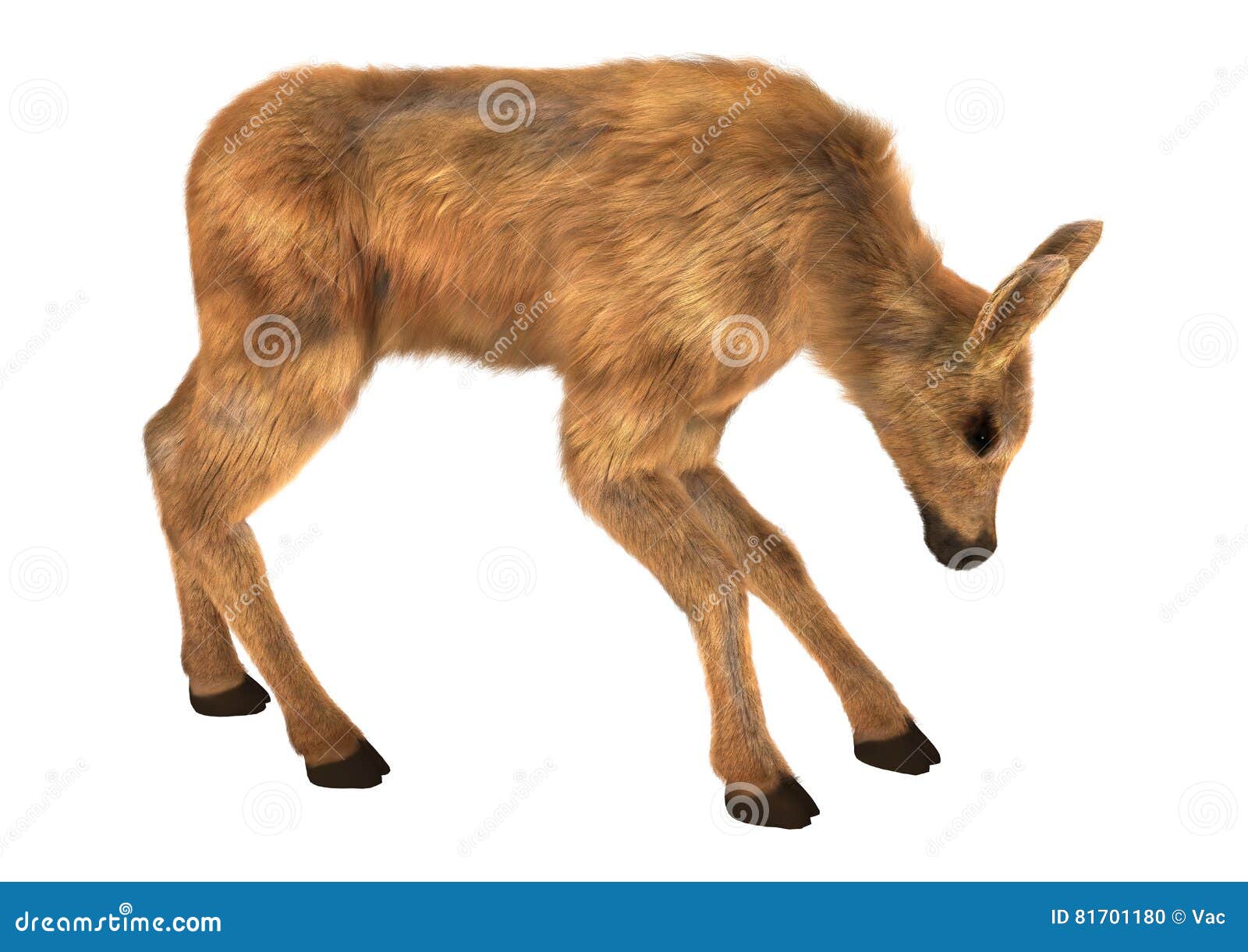 Moose, Moose Cow Calf - Mountain Landscape, Wildlife Stencils ...