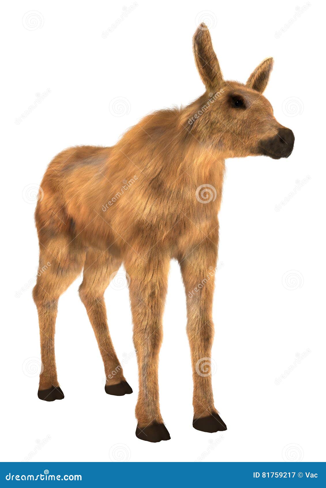 Moose, Moose Cow Calf - Mountain Landscape, Wildlife Stencils ...