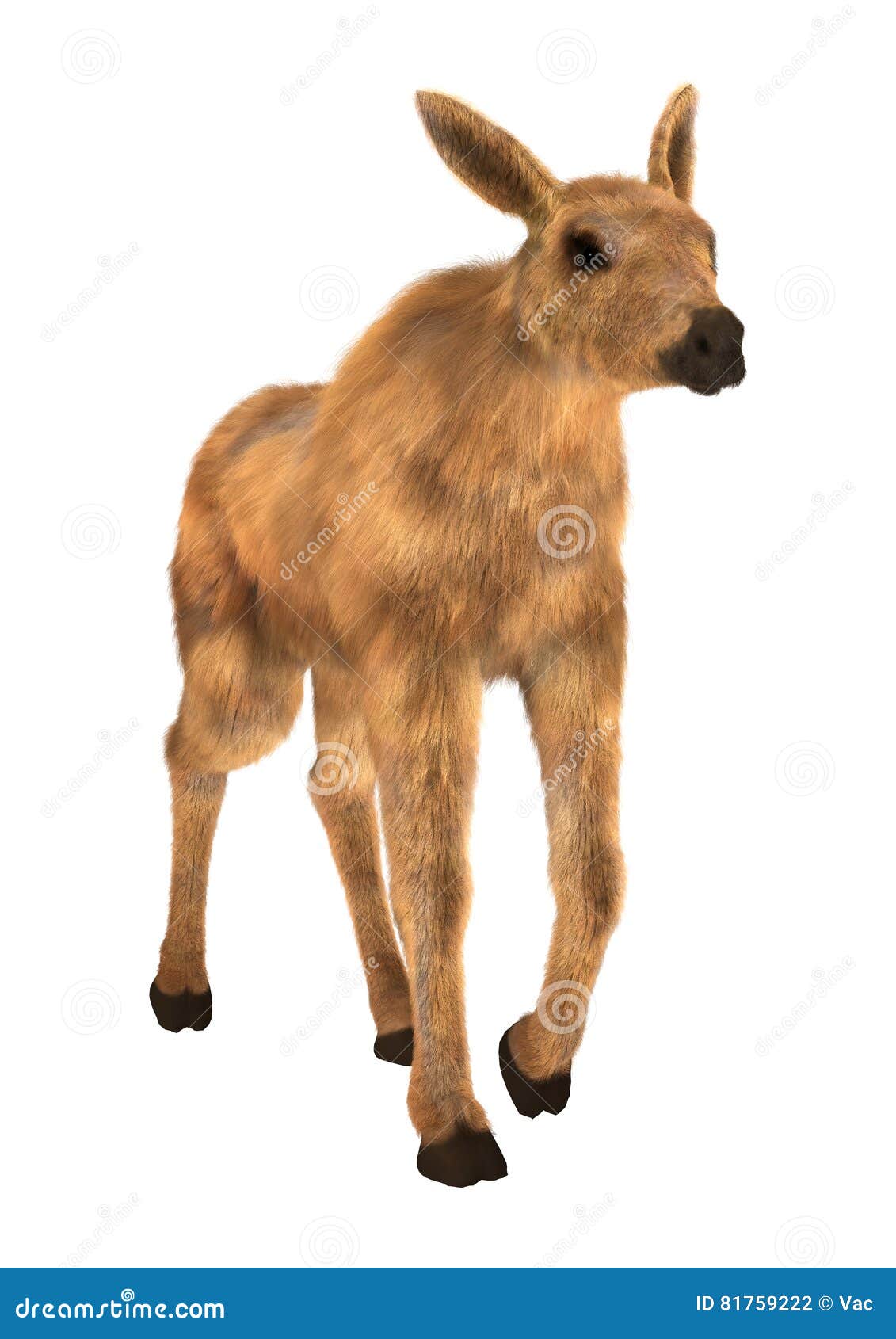 Moose, Moose Cow Calf - Mountain Landscape, Wildlife Stencils ...