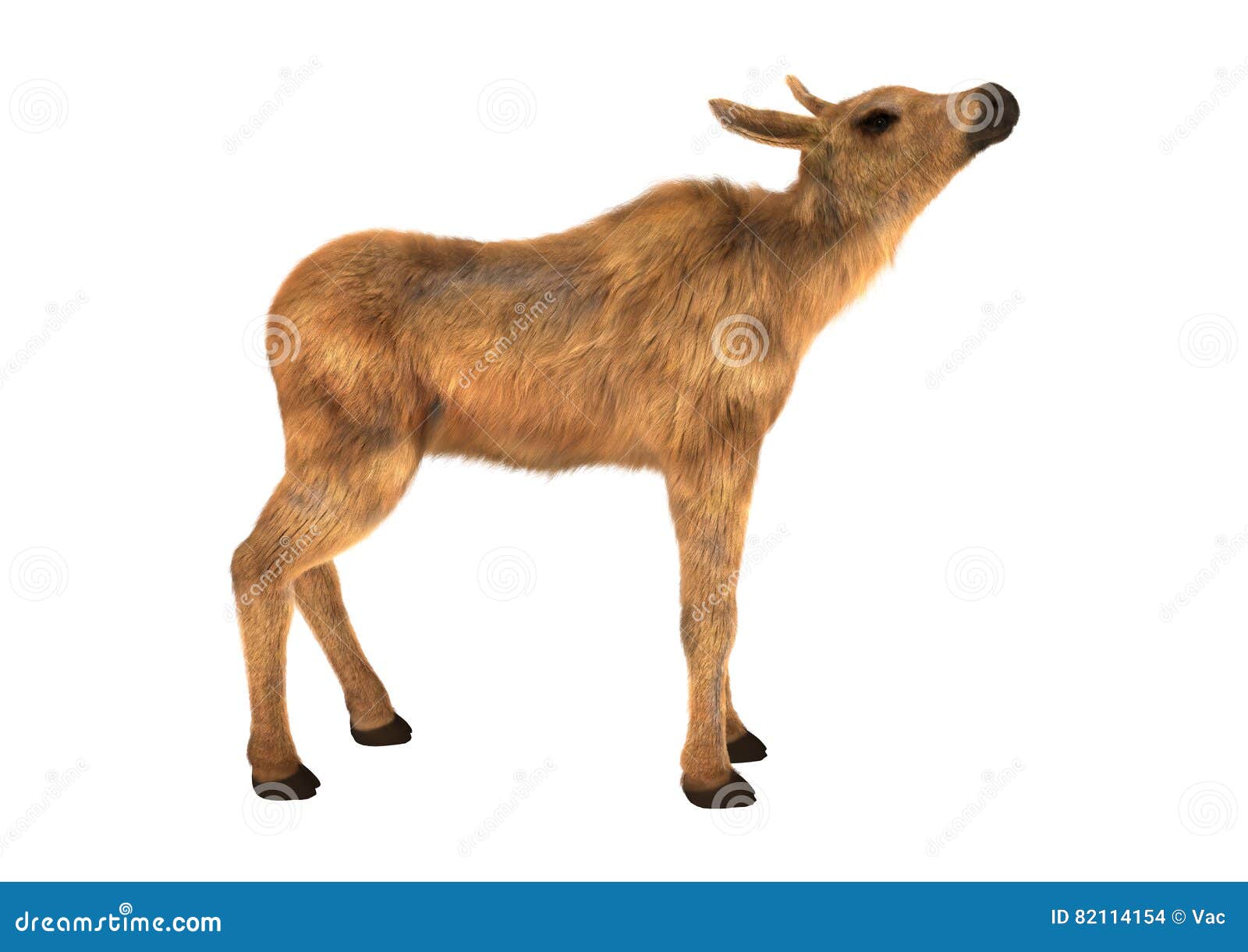 Moose, Moose Cow Calf - Mountain Landscape, Wildlife Stencils ...