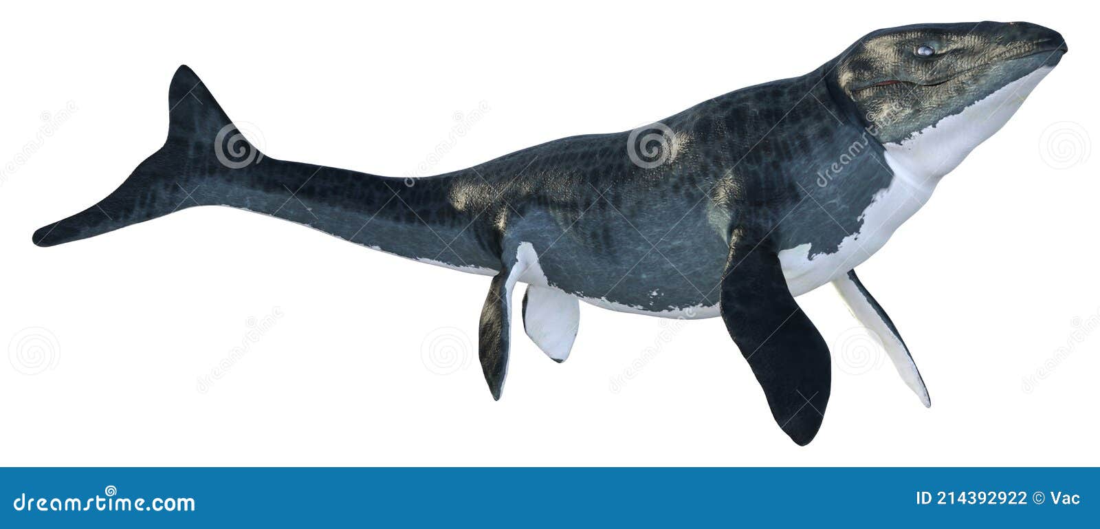 3D Rendering Mosasaurus On White Stock Photography | CartoonDealer.com ...