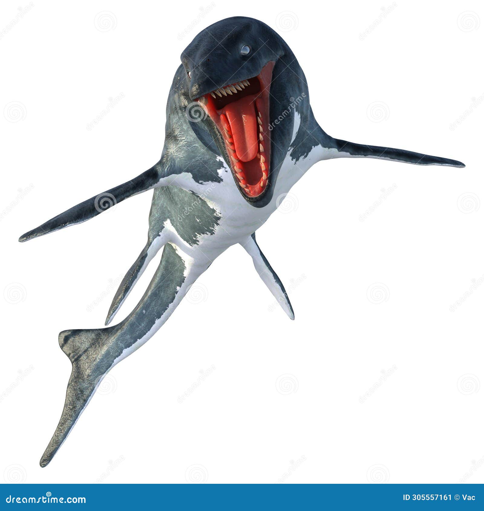 3D Rendering Mosasaurus On White Stock Photography | CartoonDealer.com ...