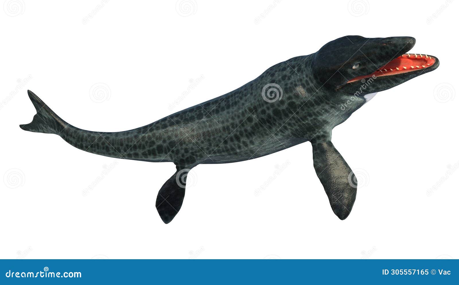 3D Rendering Mosasaurus On White Stock Photography | CartoonDealer.com ...