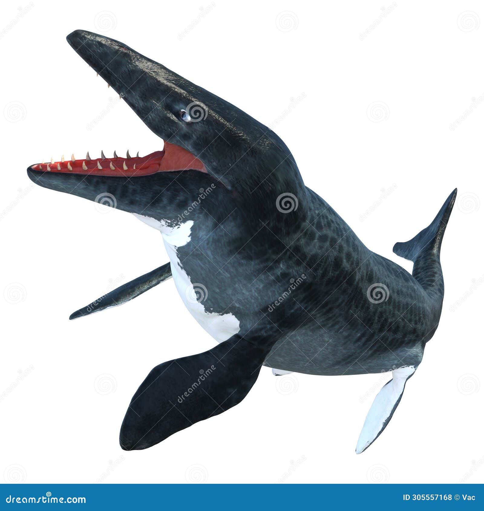 3D Rendering Mosasaurus On White Stock Photography | CartoonDealer.com ...