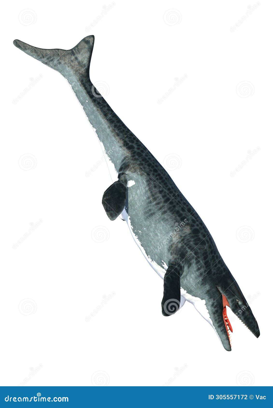 3D Rendering Mosasaurus On White Stock Photography | CartoonDealer.com ...