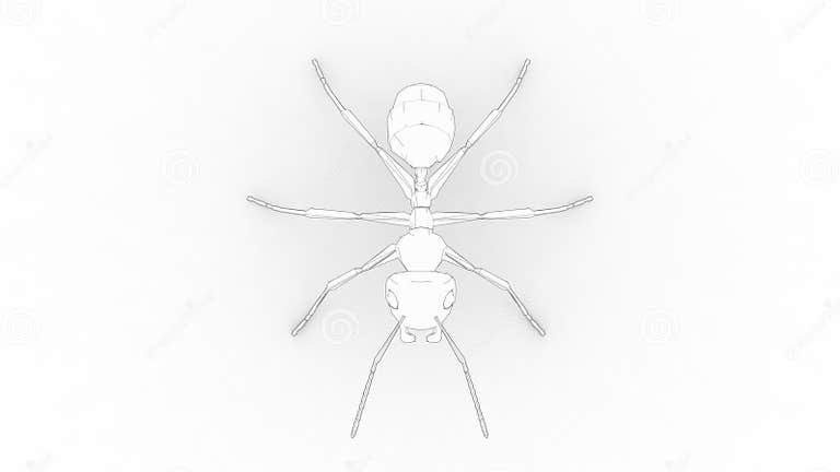3d Rendering of an Ant Isolated in White Studio Background Stock ...