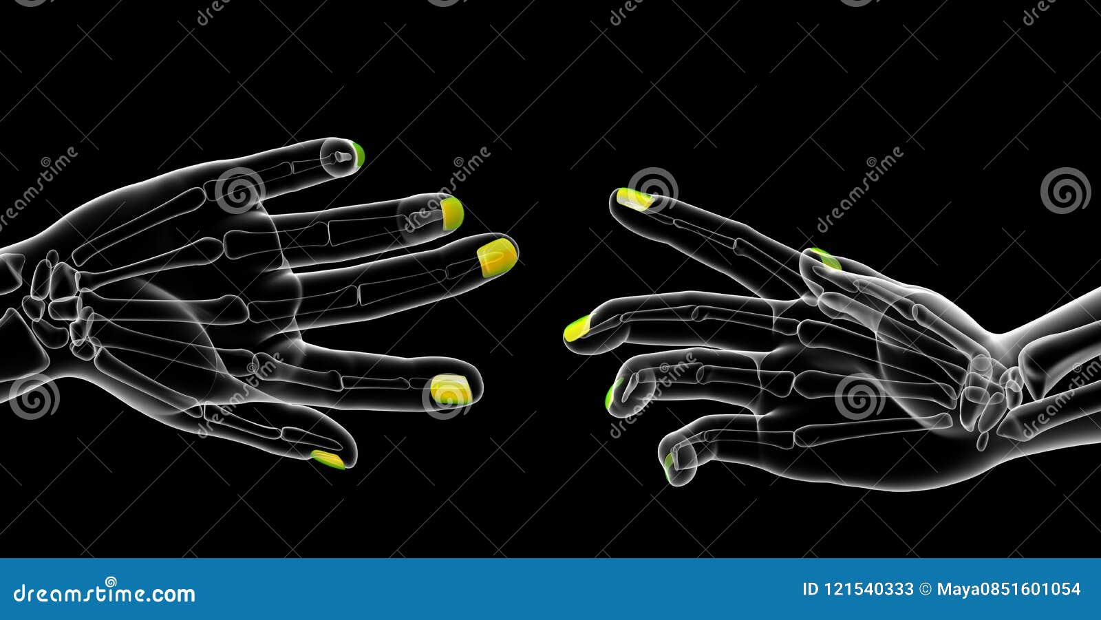 3d Rendering of Nail Anatomy Stock Illustration - Illustration of ...