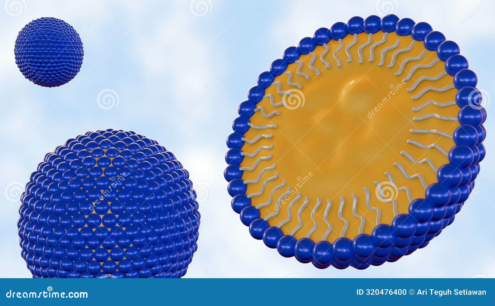 Nanoemulsions As Nanoparticles With Solid Lipids Nanoparticle Outer ...