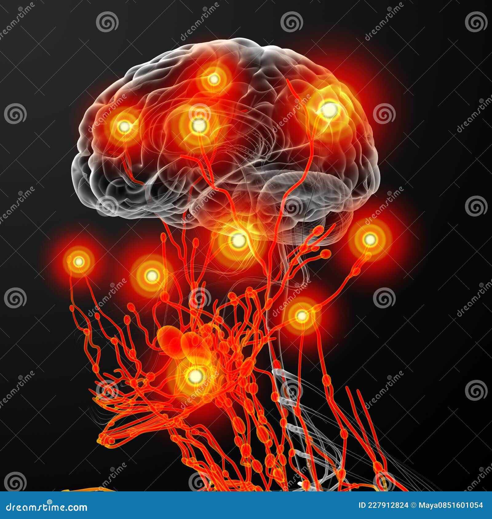 3D rendering of nerves stock illustration. Illustration of intercostal ...