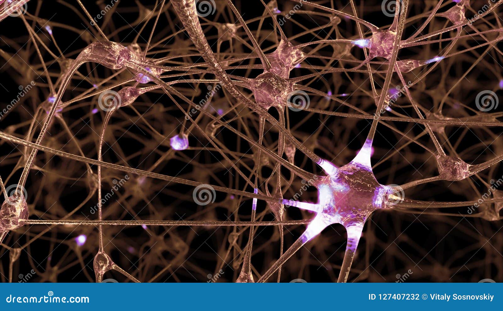 Neuron Cells. Vector Simple Design Illustartion | CartoonDealer.com ...